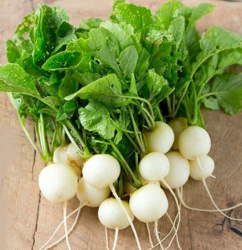 White Radish/Bola Raabu Seeds For Home Garden | Daraz.lk