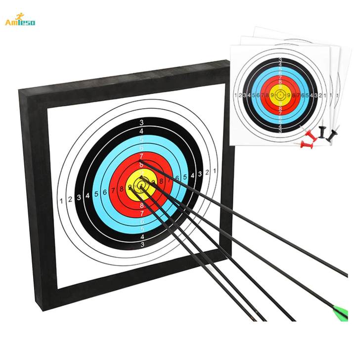 EVA Target Equipment Beginner Backyard Replacement Adults Practice ...