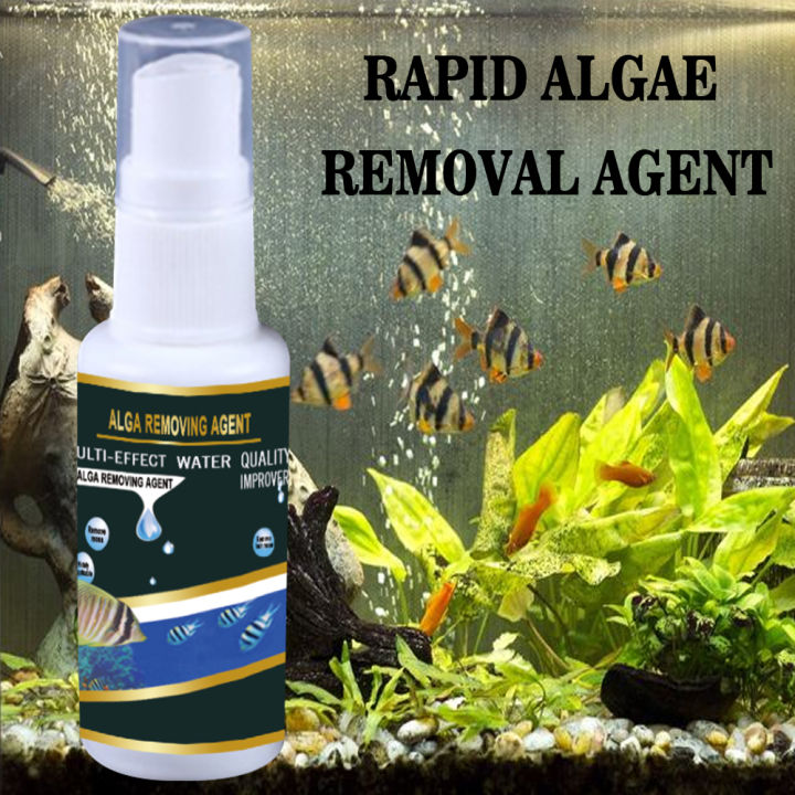 Migeet 30ML Aquarium Aquatic Algae Control Purifier Agent Pond Improve ...