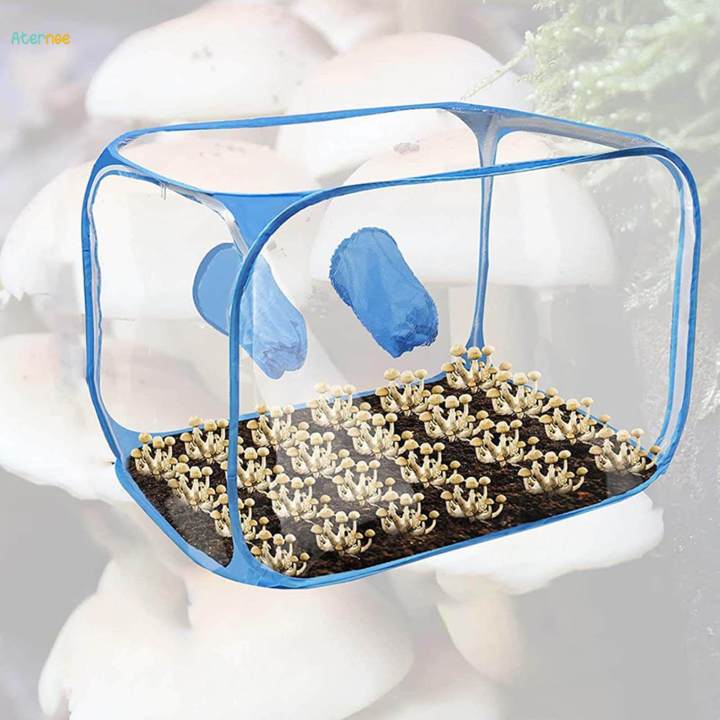 Mini Greenhouse Easy Storage Planters Box for Vegetable Greenhouse ...