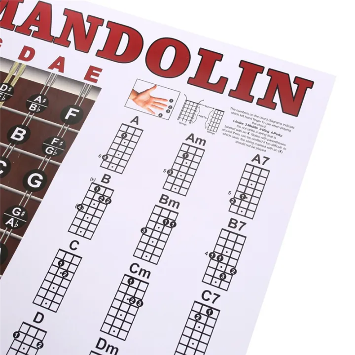 NAMUNY Mandolin Poster Chart Chord Musical Trainning Instrument Guide ...