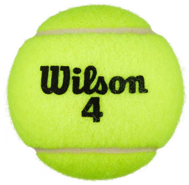 Wilson WTi 4 Indoor And Outdoor Cricket Ball | Daraz.lk
