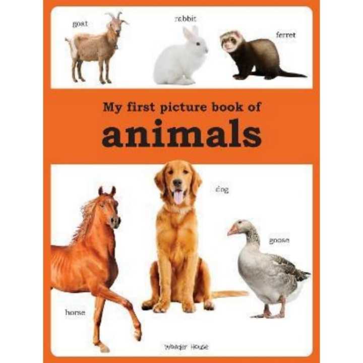 My First Picture Book Of - Animals | Daraz.lk