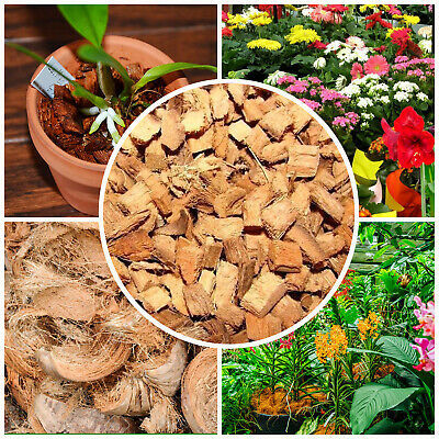 100% Natural Coconut Husk Chips for Orchids and Hydroponics 500g ...
