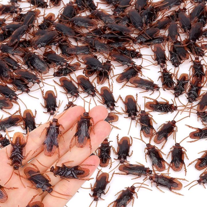 12Pcs Toy Cockroach / Innocent Play A Prank Funny Roaches Toy | Daraz.lk
