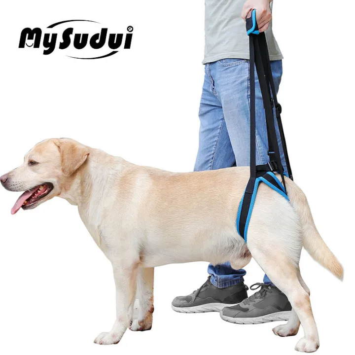 Adjustable Dog Lift Harness For Back Legs Nylon Pet Dogs Leash Assist ...