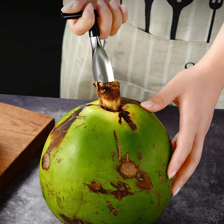 Coconut Opener Tool Set Stainless Steel Coconut Meat Scraper Coconut ...
