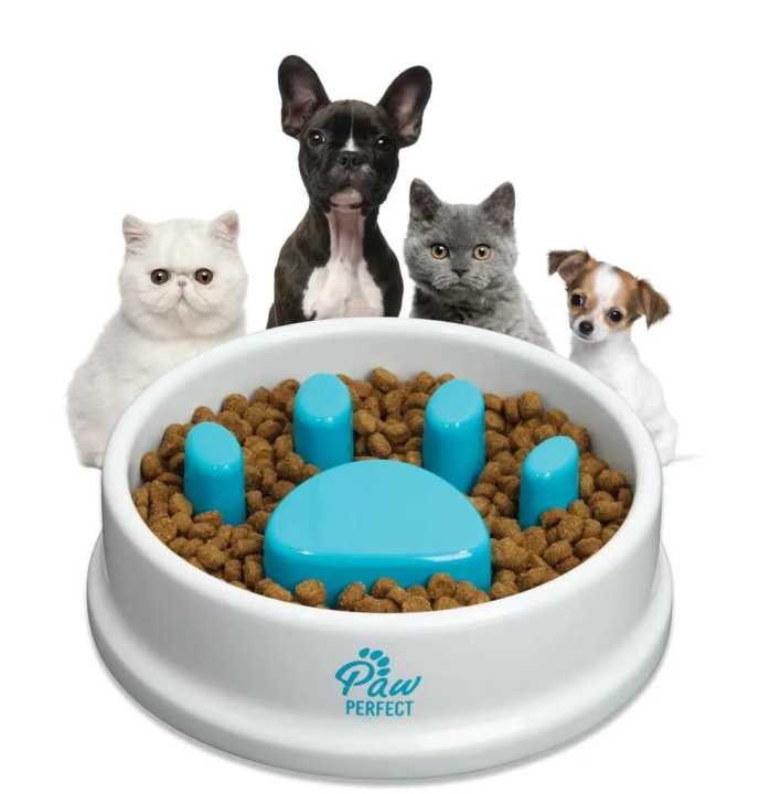 Paw Perfect Pet Slow Feeder Bowl Dog Cat Slow Feeder | Daraz.lk