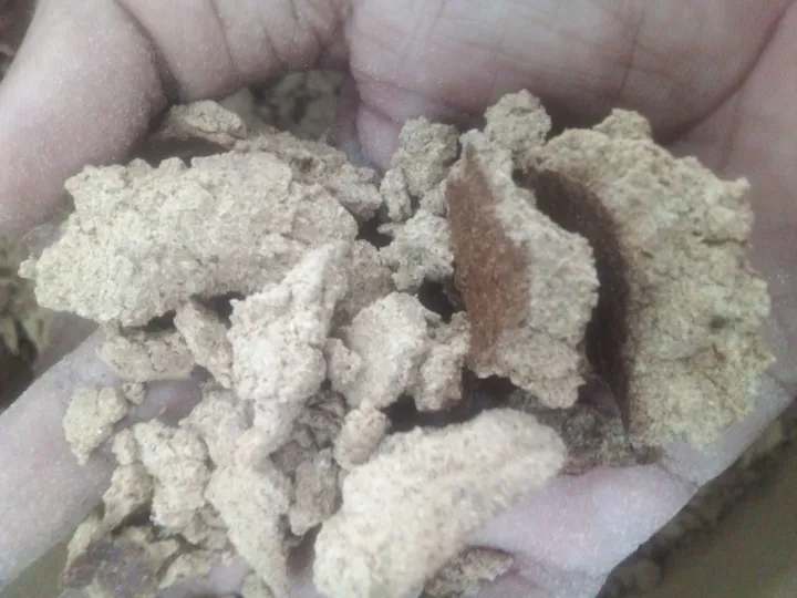 Coconut Oil Cake l Coconut Polished Cake l poll Punnakku l Coconut ...