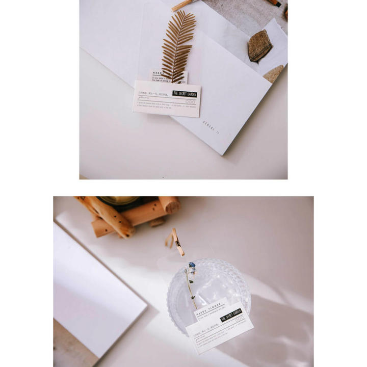 Retro Dry Flower Transparent Student Book Page Separation Small Card ...