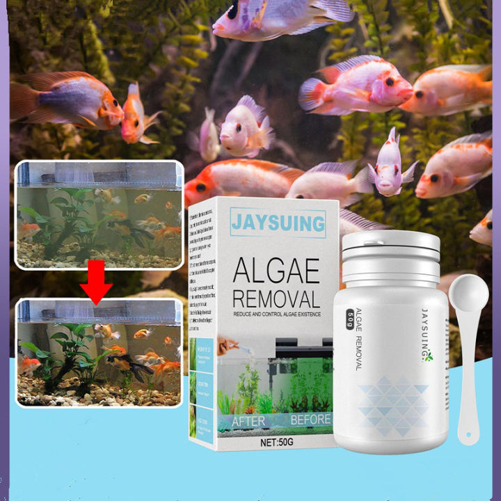 50g Algae And Moss Removal Aquarium Tools Potion To Remove Moss Agent ...