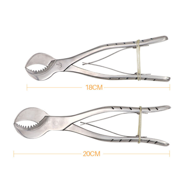 Dental scissors Dental laboratory tools Large stainless steel forceps ...