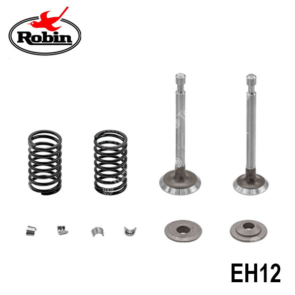 Robin Valve & Spring For Tamping Rammer - EH12 Engine | Daraz.lk