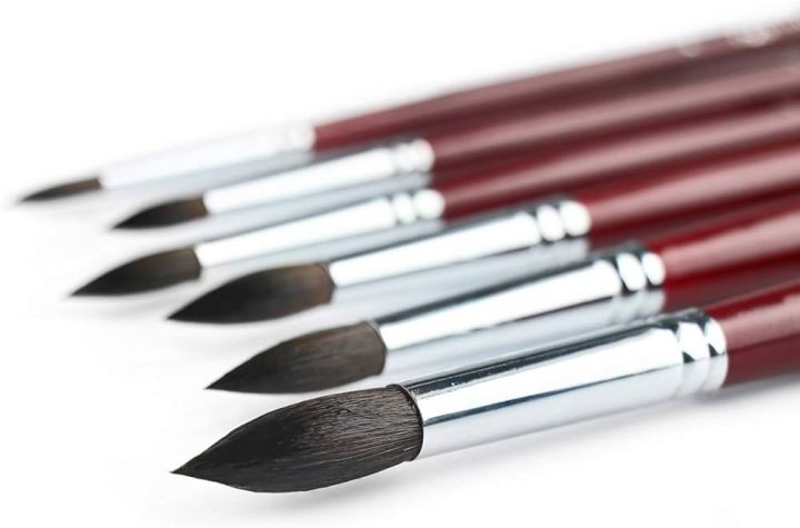 Apple Paint Brush | Daraz.lk: Buy Online at Best Prices in Srilanka ...