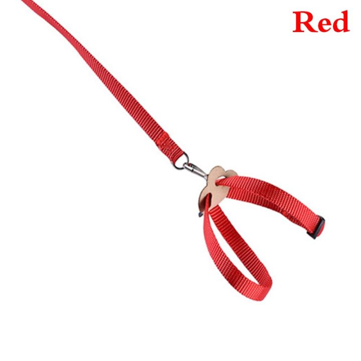 【KuaKe Mall】Parrot Bird Outdoor Adjustable Harness Training Rope ...