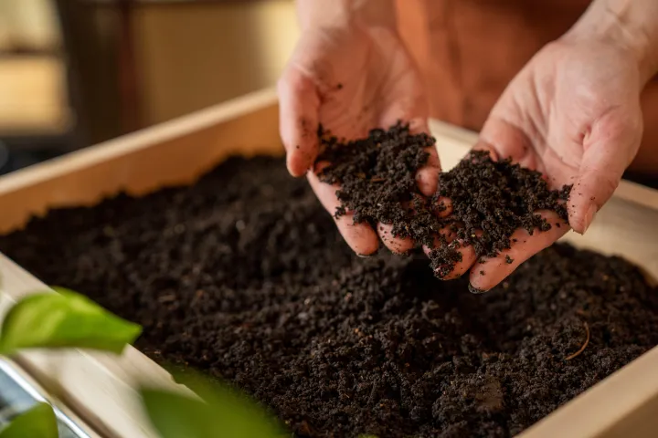 compost /compost fertilizer/compost for flowers and vegetables /1kg ...