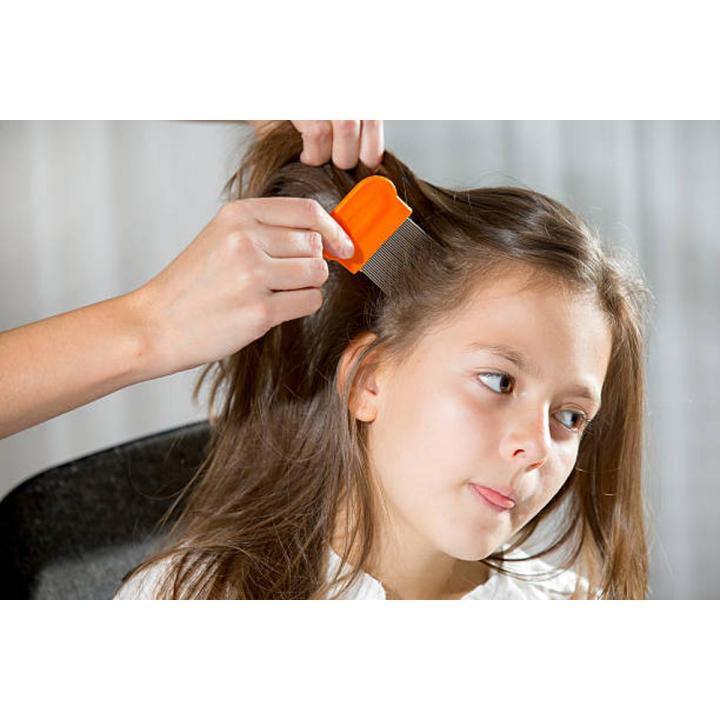 Lice Comb For Children | Daraz.lk