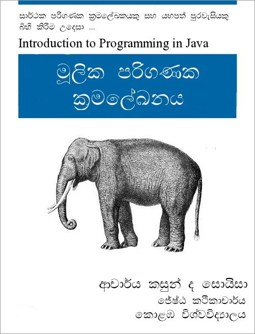 Introduction to Programming in Java | Daraz.lk