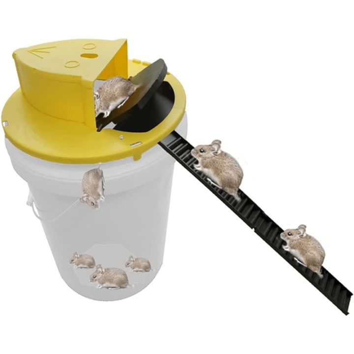 【NEW】 Mouse Trap Flip And Slide Bucket Lid Mice Rat Trap For Indoor ...