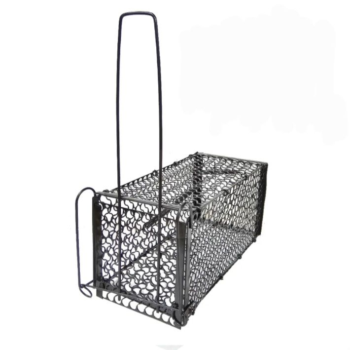 Rat Trap Cage Mouse Mice Rodent Catcher Box Animal Bait Home Office ...