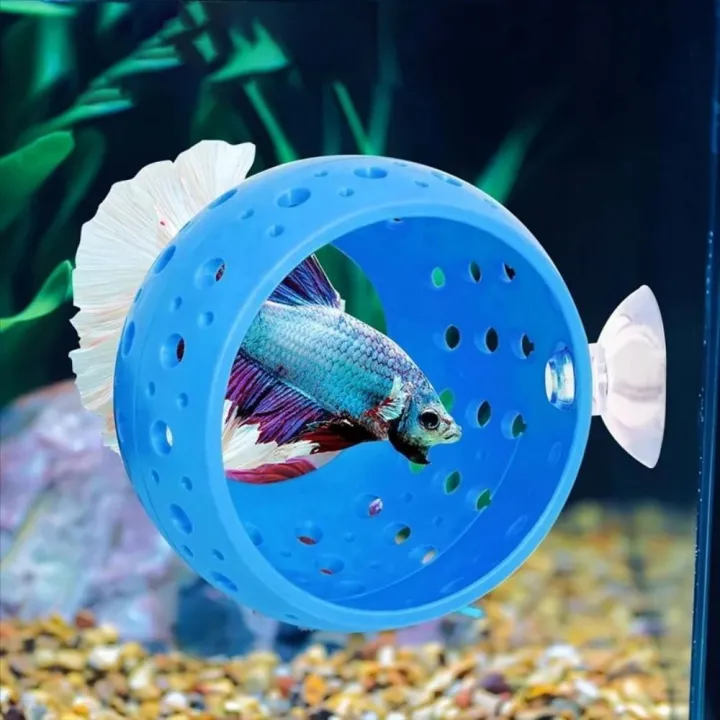 Guppy Hideout Hollow Fish Shrimp Cave Decorative Plastic Aquarium ...