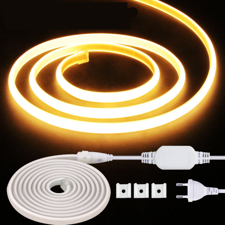 Waterproof 20M 30M 50M 220V COB LED Strip Neon Light High Brightness ...
