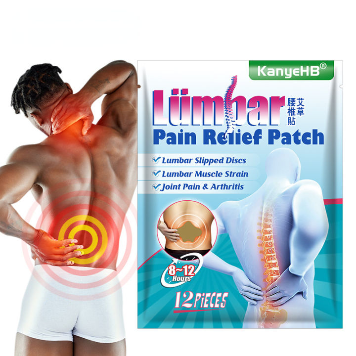 12PCS Waist Sticker Wormwood gesic Back Plaster Spondylosis Pain ...