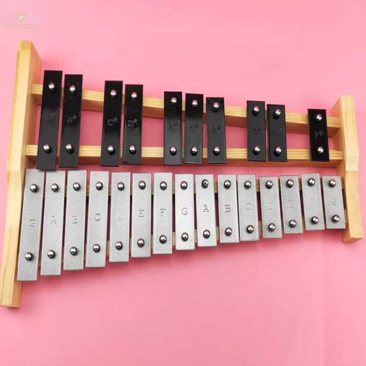 25 Note Metal Xylophone Kids Music Learning Toys for Kids and Adult ...