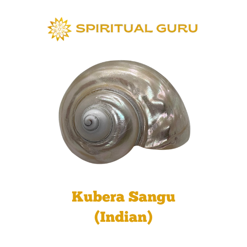 Kubera Sangu Conch Shell for Wealth, Prosperity | Daraz.lk