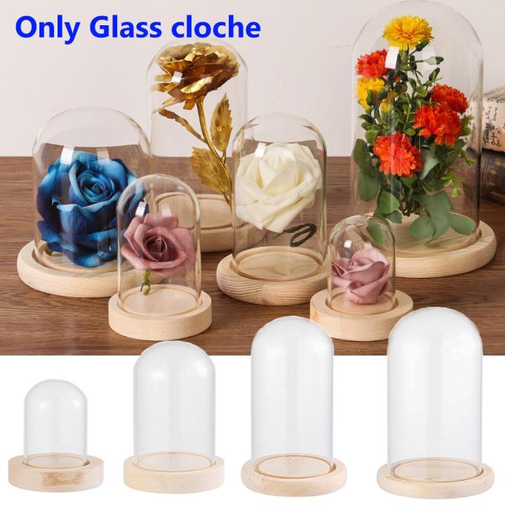 Terrarium Tabletop Plants Glass Vase Transparent Bottle Jar Dust Cover ...