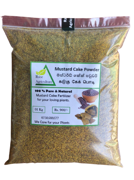 Mustard Cake Powder / අබ කේක් කුඩු / கடுகு கேக் பொடி | Daraz.lk