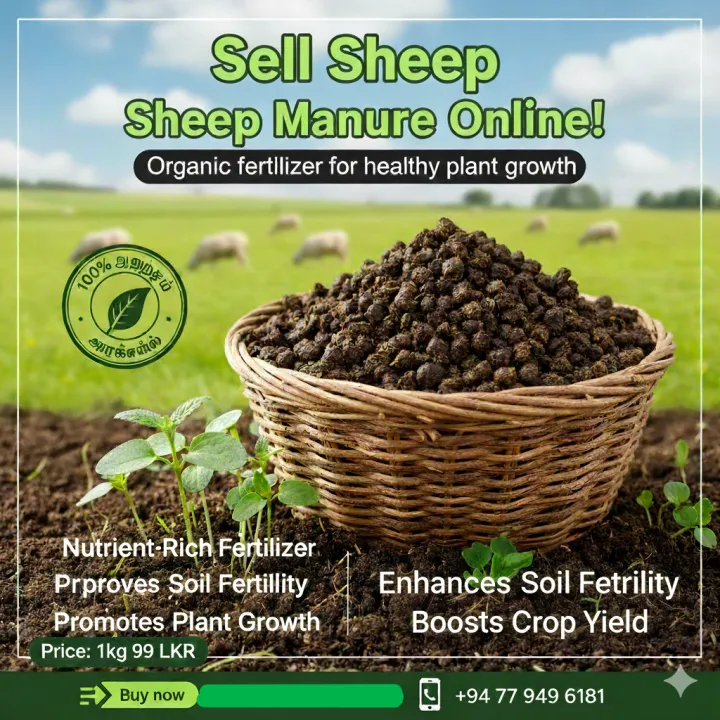 Sheep Manure fertilizer 1kg Organic Fertilizer, Bio Fertilizer, Sheep ...
