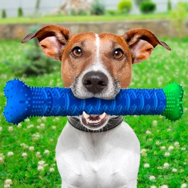 Chewbrush ™ Clean your dog's teeth Dog cbgd Teeth Cleaning Self ...