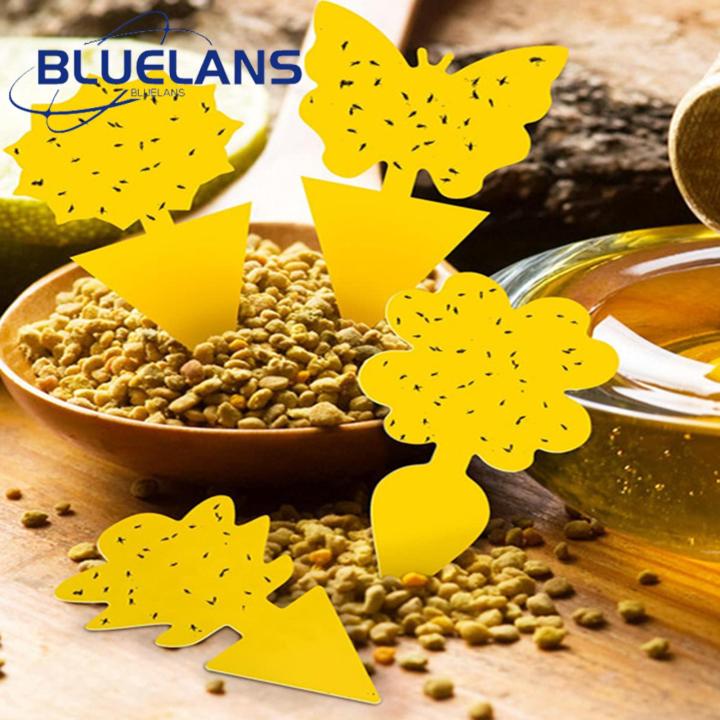 Gnat Trap Self-adhesive Tree Shape Sticky Fly Pest Catcher | Daraz.lk