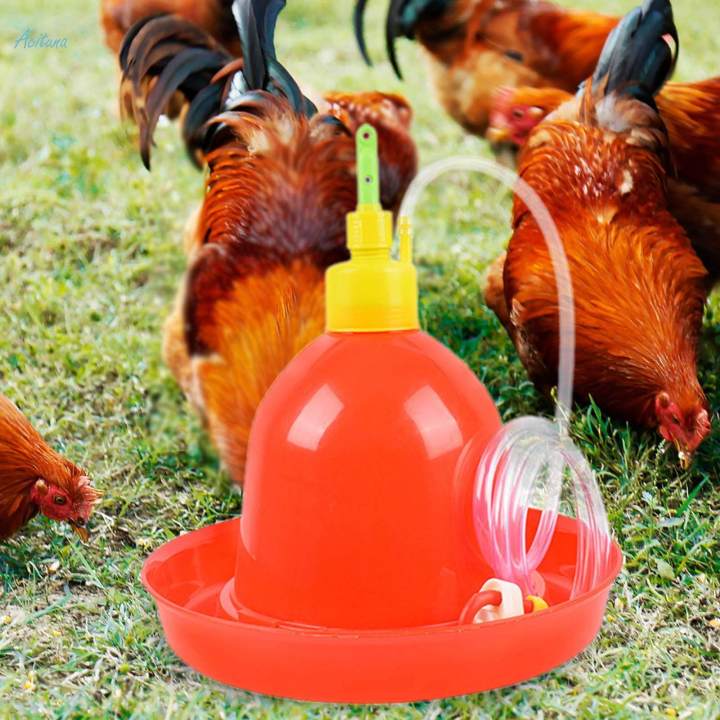 Automatic Drinker Waterer Waterer for Quail Ducks Birds | Daraz.lk