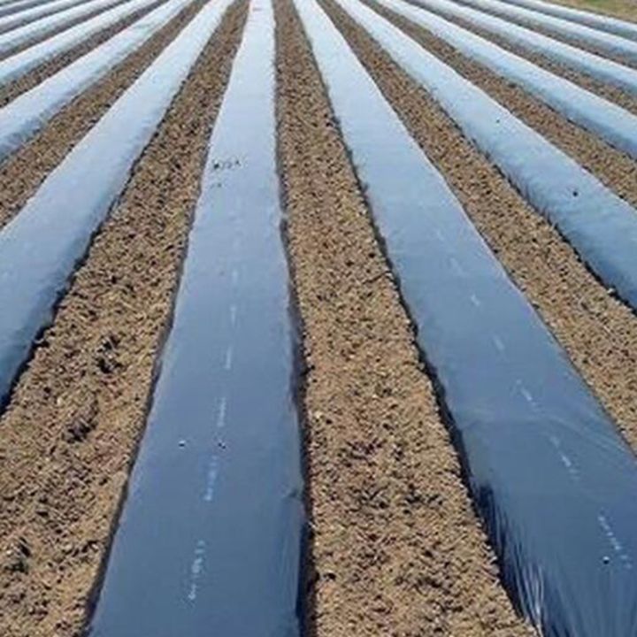 10m 0.008mm Mulch Film Pe Black Plastic Mulch Garden Ground Cover Film ...
