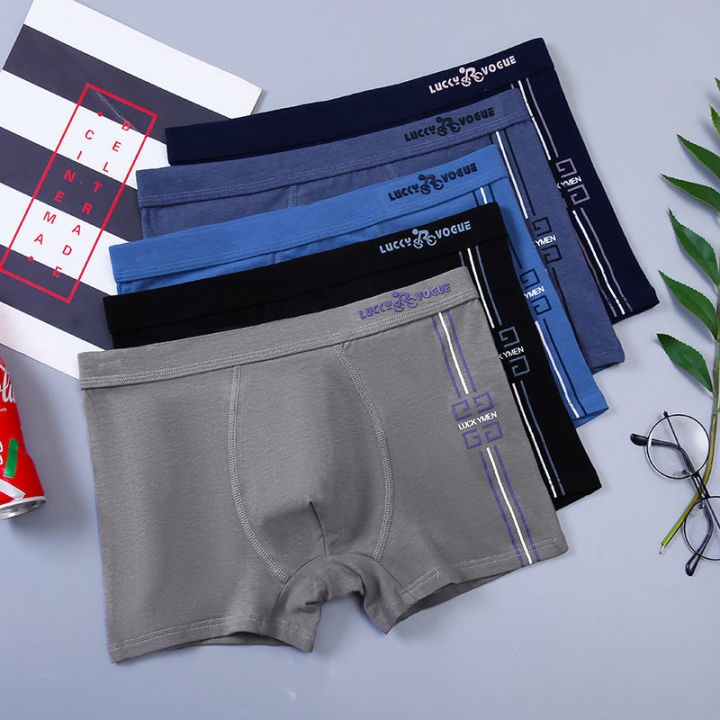 Pure Cotton Boxer Brief Large Size Fat Boy's Underwear Primary and ...