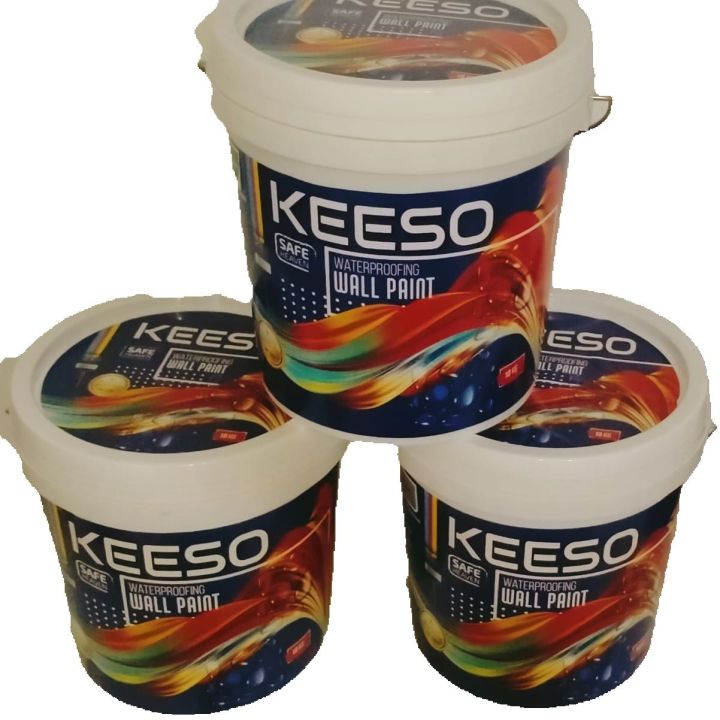 Keeso External Wall Paint - Brilliant white (with Waterproofing)- 10kg ...