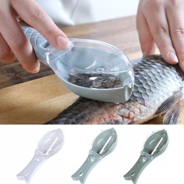 Practical scaling tool with cover /for killing fish manual kitchen tool ...