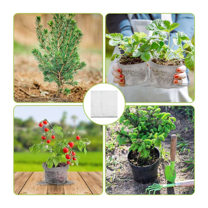 ZOROOM 1 Gallon Root Stainless Steel Guard Baskets for Protects Plant ...