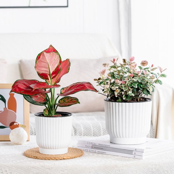 Plastic Water-absorbing Flower Pot Self Watering Visible Water Level ...
