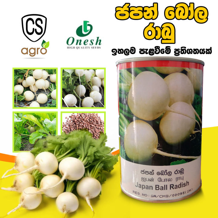Radish Seeds, Raabu Japan Bola Beeja, 100g | Daraz.lk