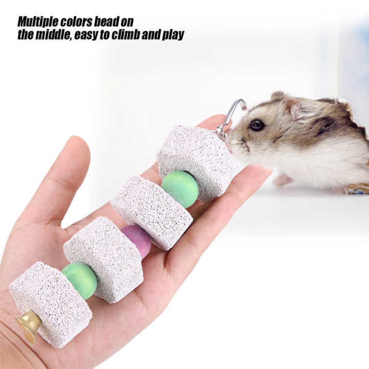 Pet Parrot Hamster Bites Climb Chew Toys Swing Cage Hanging Teeth ...