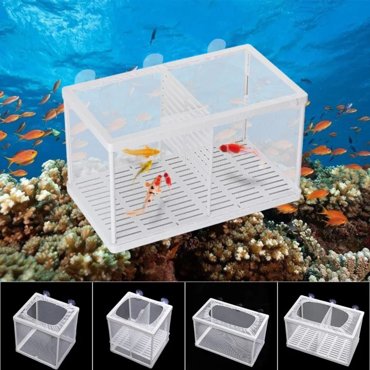 Flexible Net Double Aquarium Incubator Breeder Hatchery Grow Seed ...