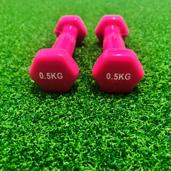 Dumbbells 500g (x2) Hand Weight For Strength Training | Daraz.lk