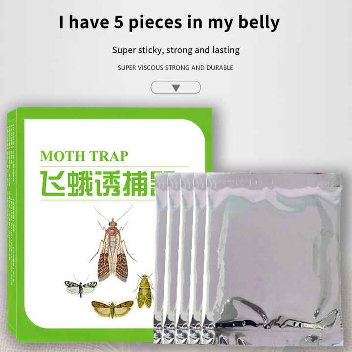5pcs Pantry Food Moth Trap Pheromone Killer Paste Sticky Glue Trap Pest ...