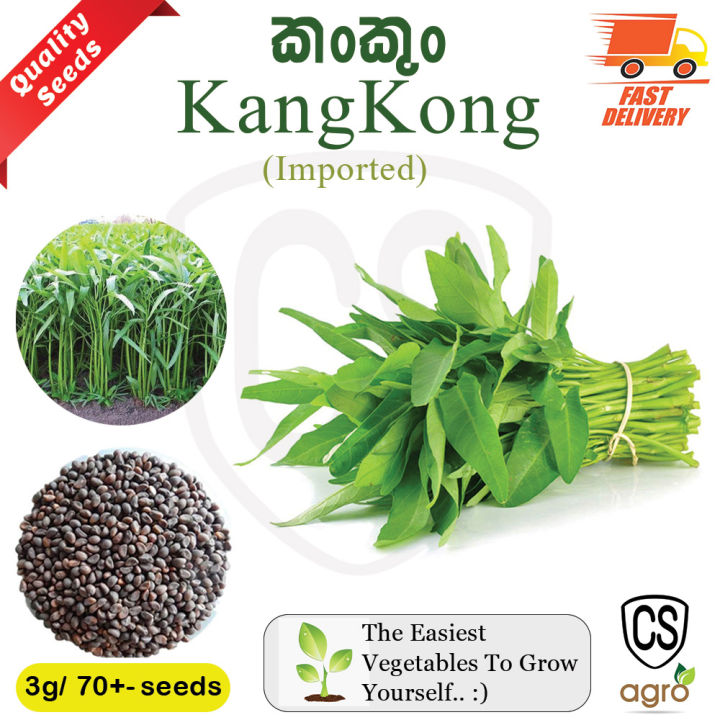 Kang Kung Seeds Gardening Agriculture Home CS Agro seed kankun beeja | Daraz.lk
