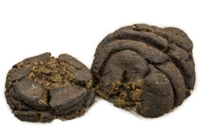 Cow Dung (Goma Pohora) 1kg good for planting uria fertelizer | Daraz.lk