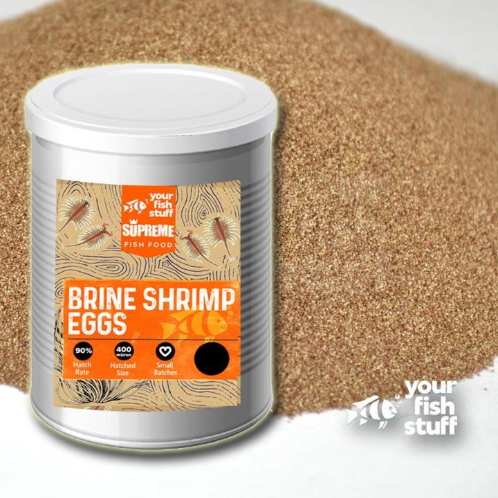 Red Top Brine Shrimp Eggs 20g with 95% Hatching Rate | Daraz.lk