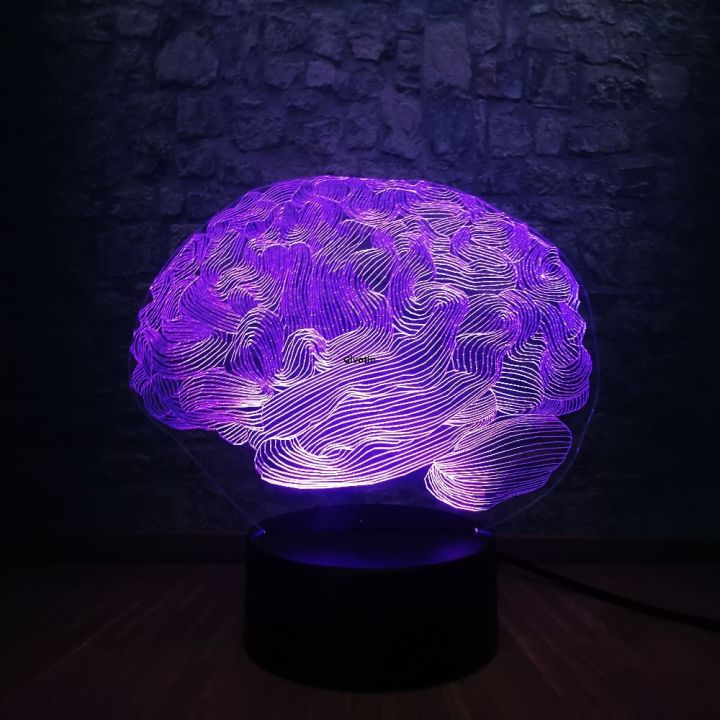 【VA VA VOOM】Novelty Light Cool Cerebrum Brain 3D LAMP NIGHT LIGHT RGB ...